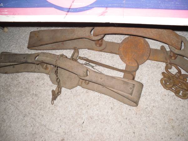 More Bear Traps for Sale - Trappers Report